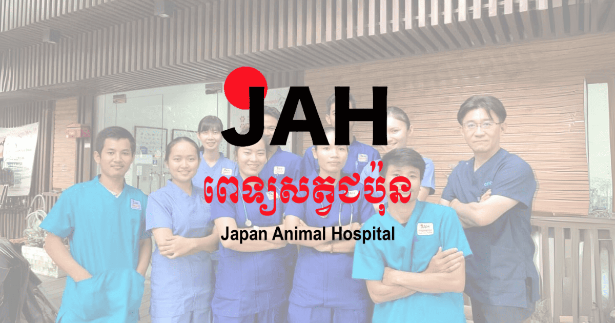 Japan Small Animal Medical Center at Sara Swasey blog